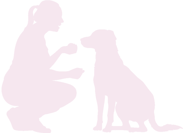 Contact Us | Town & Country Vet Clinic in St. Lawrence County, NY